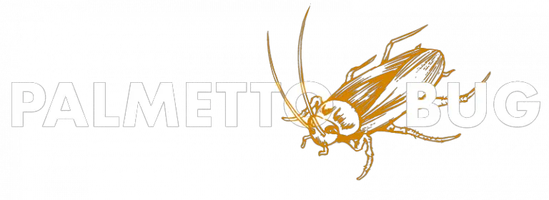 11 Steps to conclude a Palmetto Bug Infestation - About Palmetto Bug