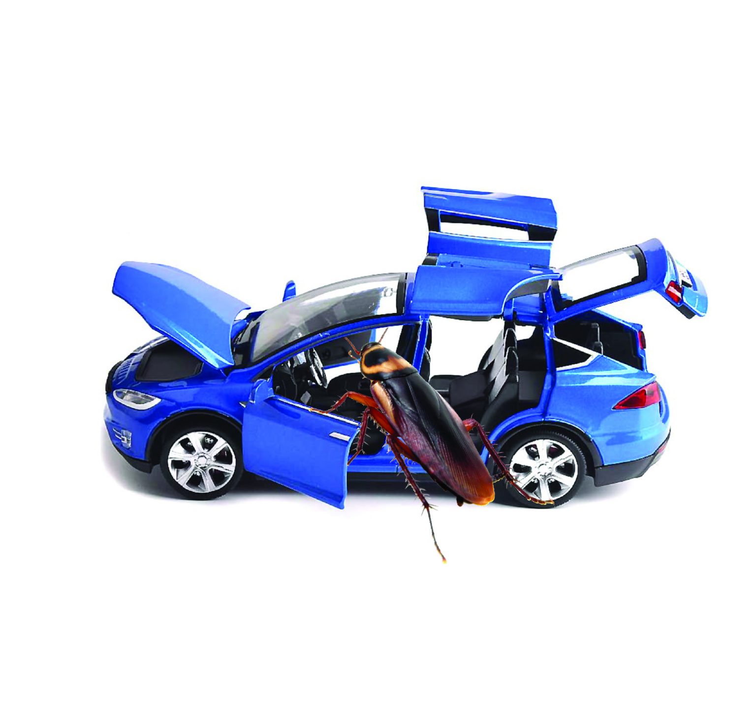 Roach Getting In a Car MEME (Is it REAL?) | APB