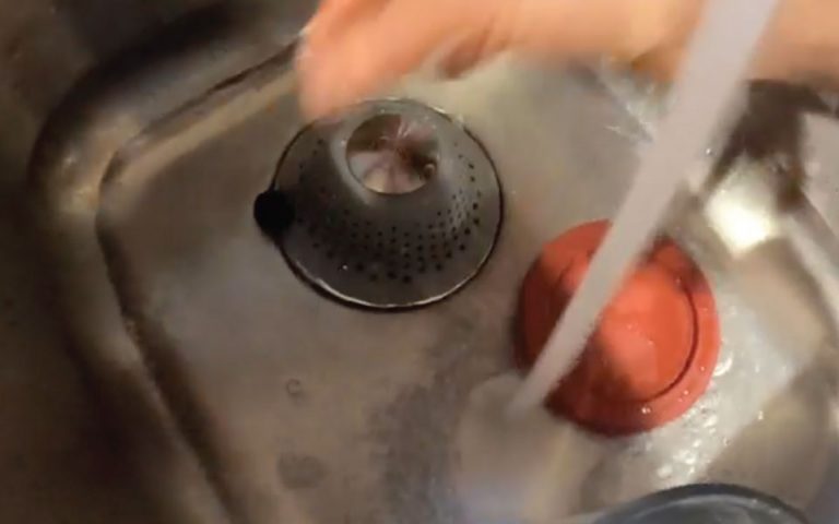 5 Best Anti Cockroach Drain Covers (Hole SIZES Matter) | APB