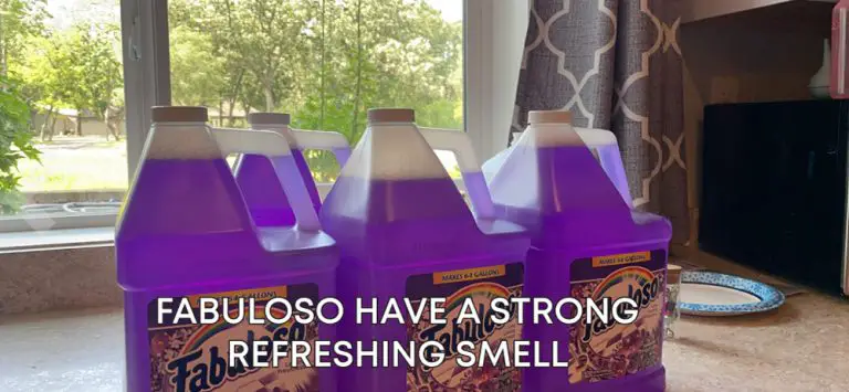 Does Fabuloso Attract Bugs? [No, But...] | APB